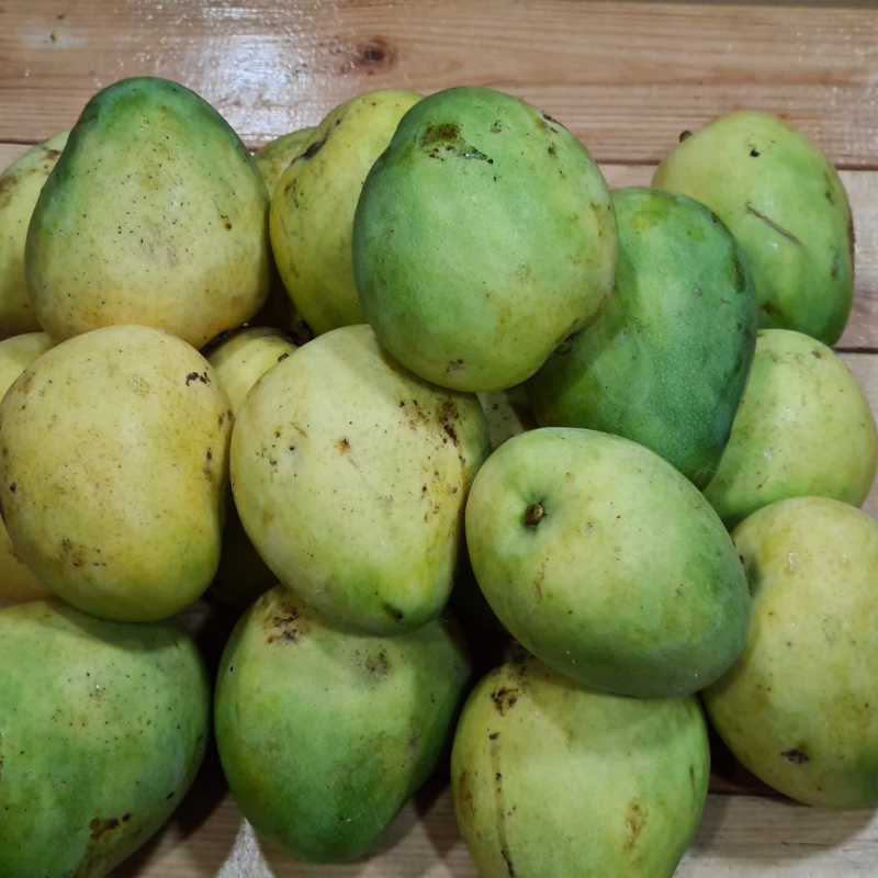 Fruits – Uzhavar Kalam