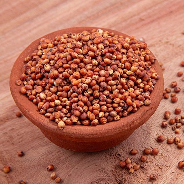 Red Sorghum (Cholam) சிவப்பு சோளம் – Uzhavar Kalam